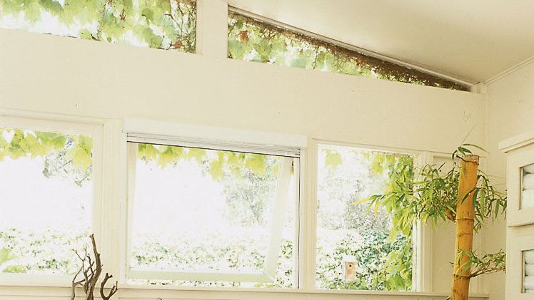 A Guide to Green Windows - Sunset Magazine