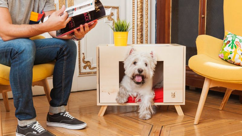 Creative Dog House Designs - Sunset Magazine
