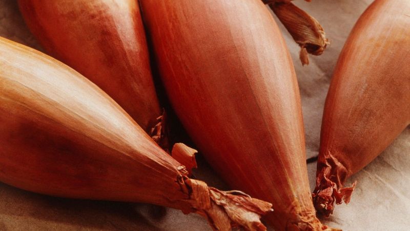 Great recipes for produce from the farmer's market - Sunset Magazine