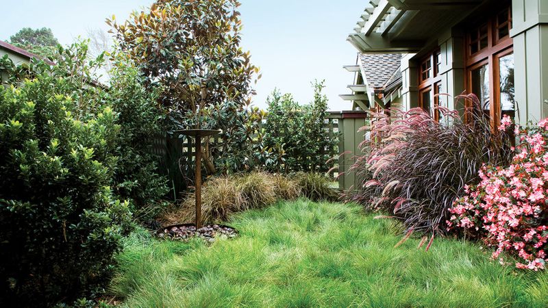 Landscaping without Grass - Sunset Magazine