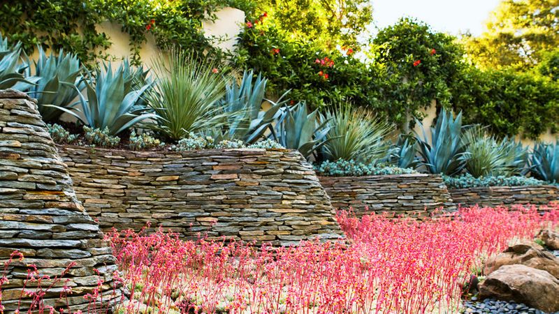 Surprising Planting Pairings - Sunset Magazine