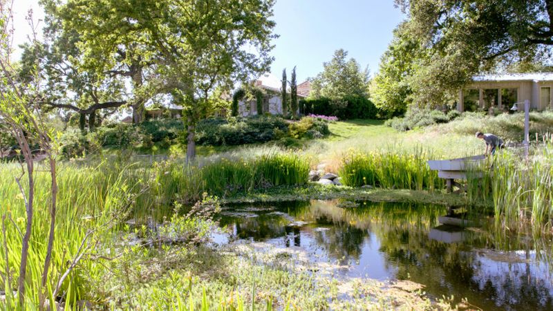 How to Create a Dreamy Working Homestead Farm - Sunset Magazine