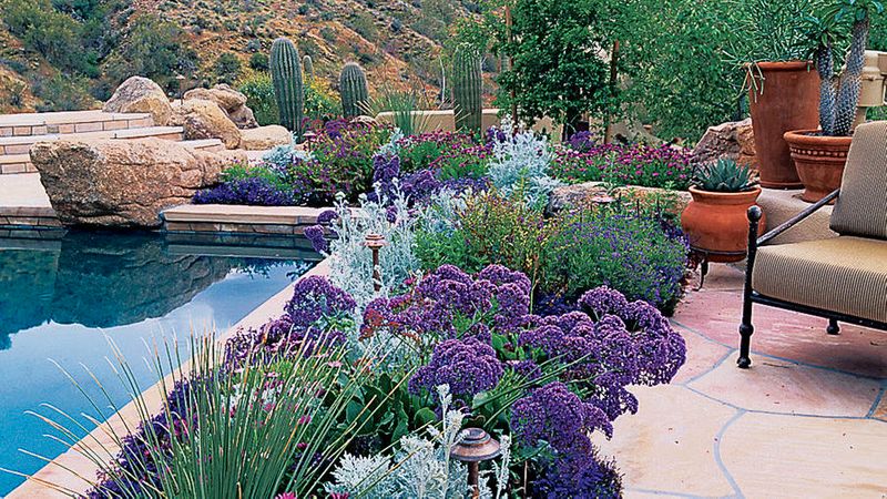 Gorgeous Garden Border Design Ideas for Any Yard in the West - Sunset ...