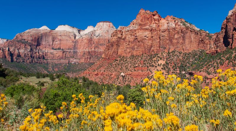 Best National Parks to Visit in Spring - Sunset Magazine