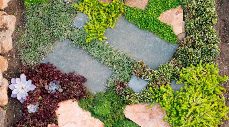 Fire-Resistant Garden Design Tips - Sunset Magazine