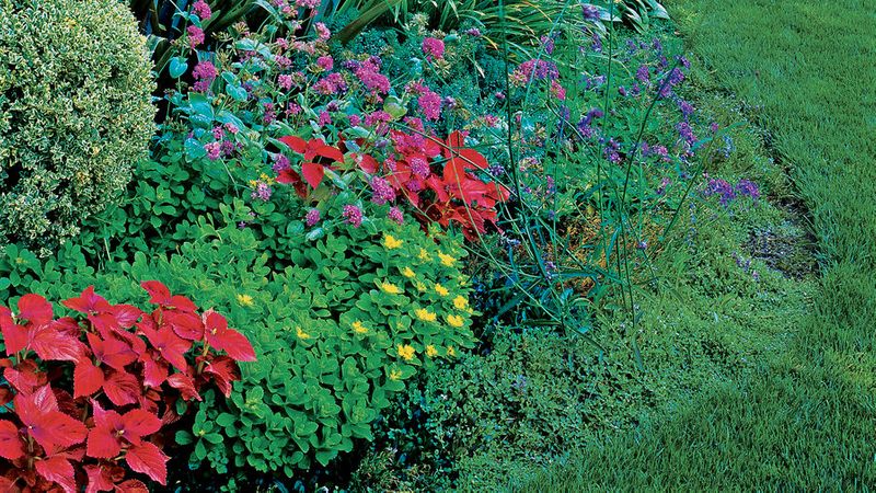 Gorgeous Garden Border Design Ideas for Any Yard in the West - Sunset ...