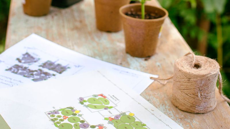 Growing Vegetables: 7 Steps to a DIY Edible Garden - Sunset Magazine