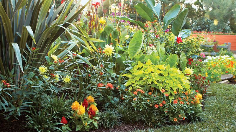Gorgeous Garden Border Design Ideas for Any Yard in the West - Sunset ...
