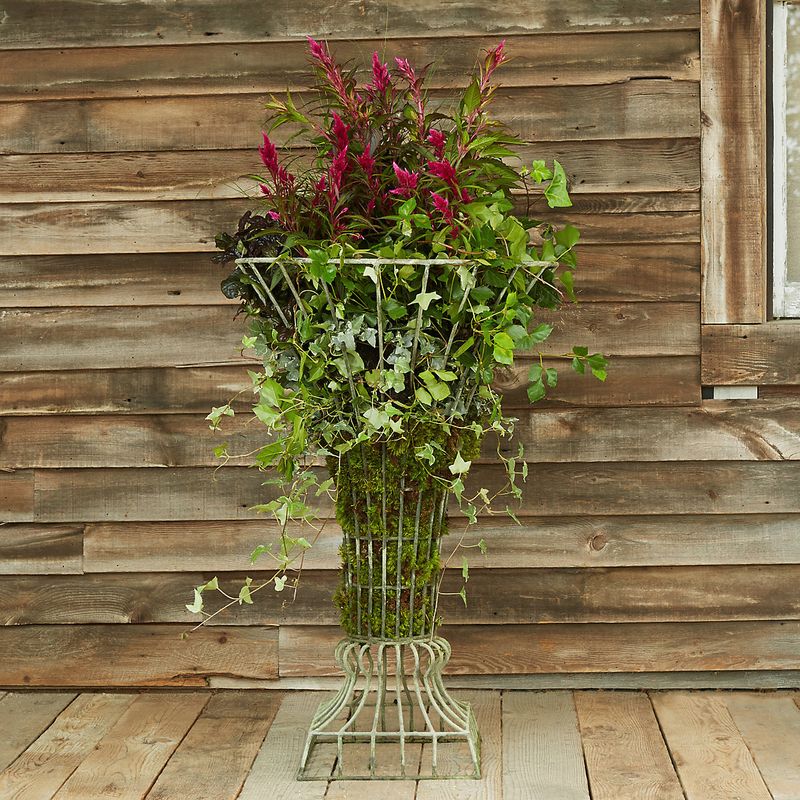 Statement-Making Large Outdoor Planters - Sunset Magazine