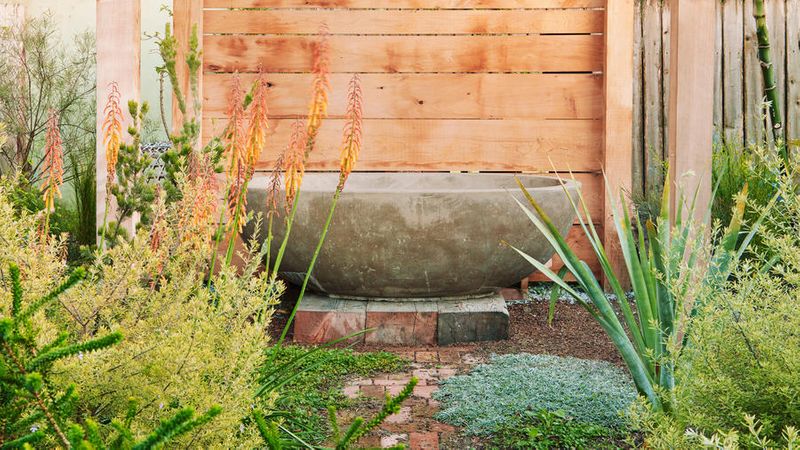 Stylish Tips from Plant Trend-Setter Flora Grubb's Garden - Sunset Magazine