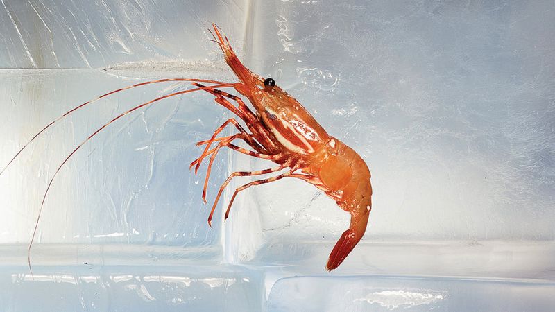 Guide to Sustainable Fish - Sunset Magazine