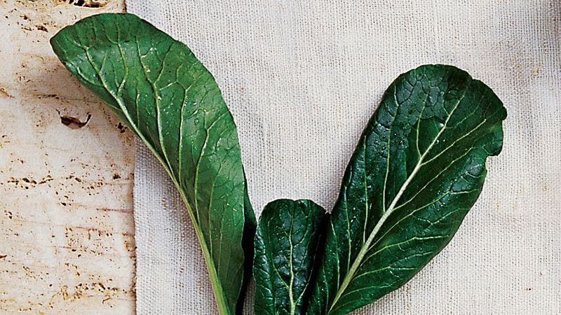 Cooking with Asian Greens - Sunset Magazine
