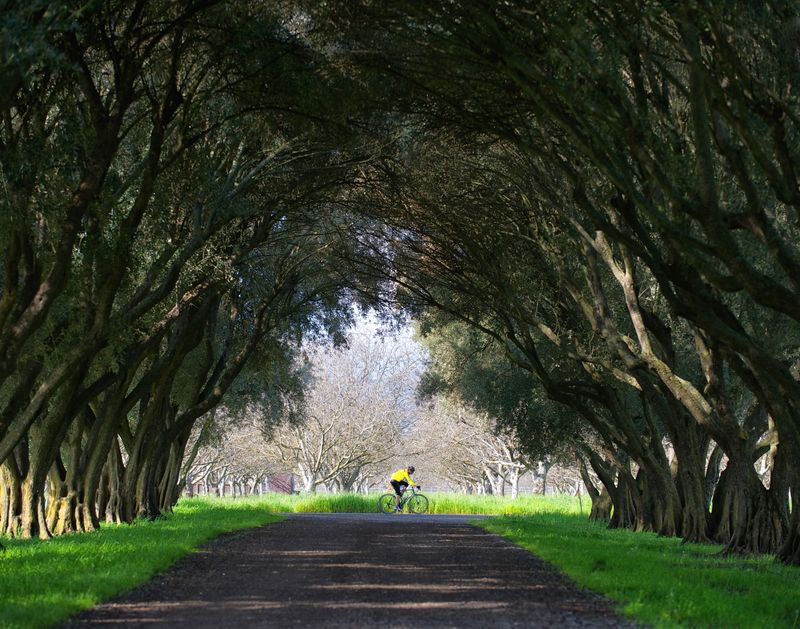 Best Biking Towns in the West - Sunset Magazine