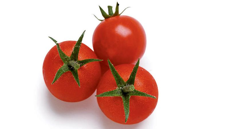 Best Cherry Tomatoes - Sunset Magazine