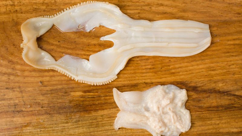 How to clean razor clams - Sunset Magazine