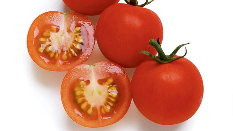 Best Cherry Tomatoes - Sunset Magazine