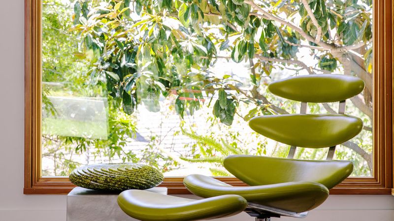 A Guide to Green Windows - Sunset Magazine