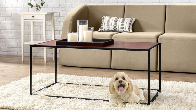 Stylish Studio Apartment Ideas - Sunset Magazine