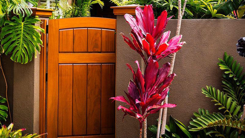 Tropical Plants Retreat - Sunset.com - Sunset Magazine