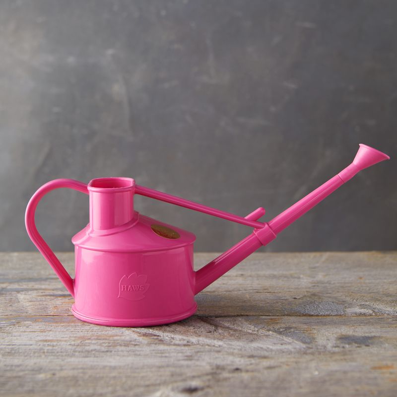 Super-Chic Small Watering Cans - Sunset Magazine